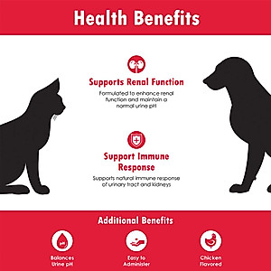 Renakitin Kidney Supplements for Dogs Cats - Contains Chitosan & Calcium Carbonate, Support Optimal Kidney Function, Great Tasting Chicken Flavor, 6.3 oz