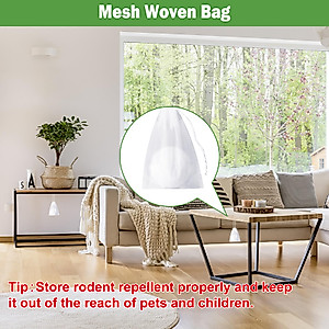 10 Pack Mouse Repellent Mice Deterrent Repellent for House, Rat Repellent Peppermint Oil to Repel Mice and Rats, Rodent Repellent Balls for Outdoor Indoor Pest Insect Control