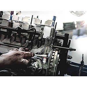 Wera 05004018001 8100 SA 8 Zyklop Metal Ratchet Set with Switch Lever, 1/4" Drive, Metric, 28 Pieces