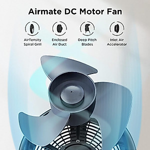 AIRMATE Large Air Circulator Fan for Bedroom, 120°+90°Oscillating Fan with Remote, 12in Quiet Cooling Fans, High Velocity Floor Fan with Timer, 10 Speeds DC Fan for Home, Office, Dorm (Black)