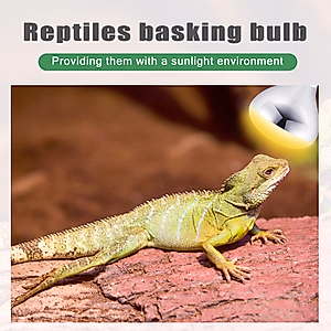 VIHOSE 6 Pack 250 Watt Heat Lamp 120v R40 Heat Lamp Bulbs Clear Glass Incandescent Light Bulbs Incandescent Heating Lightbulbs for Reptiles Chicks Food Puppies Bathroom, Use E26 Base