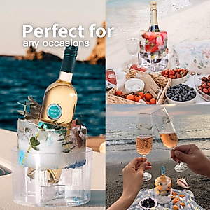 Ice Molds, Ice Bucket, Ice Mold Wine Bottle Chiller, DIY Champagne Cocktails Clear Bucket Freezer Chiller, Any Floral or Fruits Decoration for Party, Wedding and Celebration, Beautiful with Creative