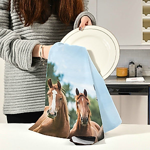 xigua Horse Kitchen Towels Set of 4, Soft Absorbent Drying Dishcloths Dish Towels with Hanging Loop for Kitchen Bathroom Bar Home Decor, 18 x 28 Inch