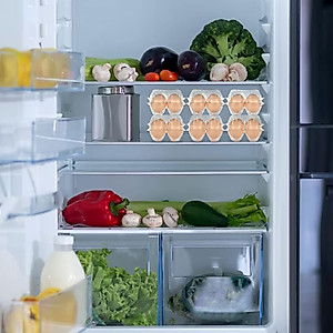 DAJAVE 100 Pack Plastic Egg Cartons, Clear Plastic Egg Cartons Bulk Holds up to 4 Eggs, Plastic Egg Holder for Family, Pasture, Farm Markets Display