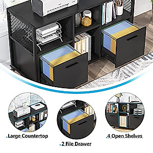 Tribesigns 2 Drawer Wood File Cabinets, Modern Mobile Lateral Filing Cabinet for Letter/ A4 Size, Printer Stand with Open Storage Shelves and Drawer for Home Office, Black