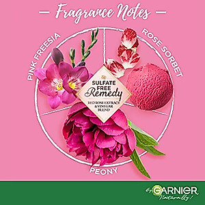 Garnier Whole Blends Sulfate Free Remedy 10-in-1 Leave-In with Red Rose Extract and Vinegar, Enhances Shine and Preserves Color-Treated Hair, For Up to 8 Weeks of Vibrant Color, 10. fl oz, 2 Count