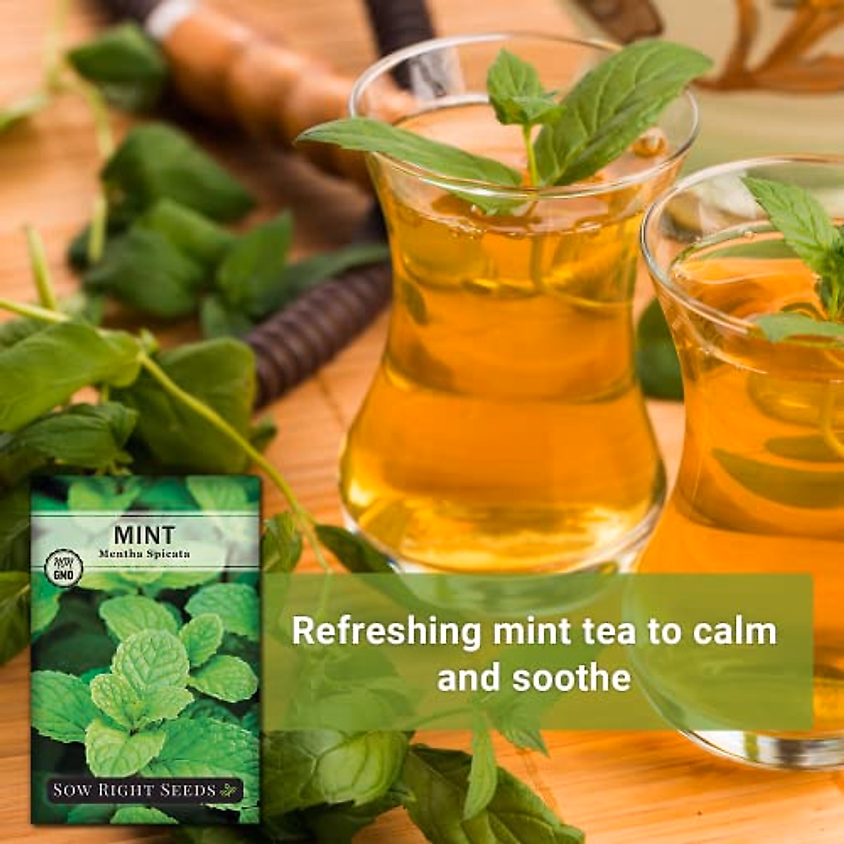 Sow Right Seeds - Mint Seed for Planting - Non-GMO Heirloom Seeds - Instructions to Plant and Grow an Herbal Tea Garden, Indoors or Outdoor; Great Gardening Gift (1)