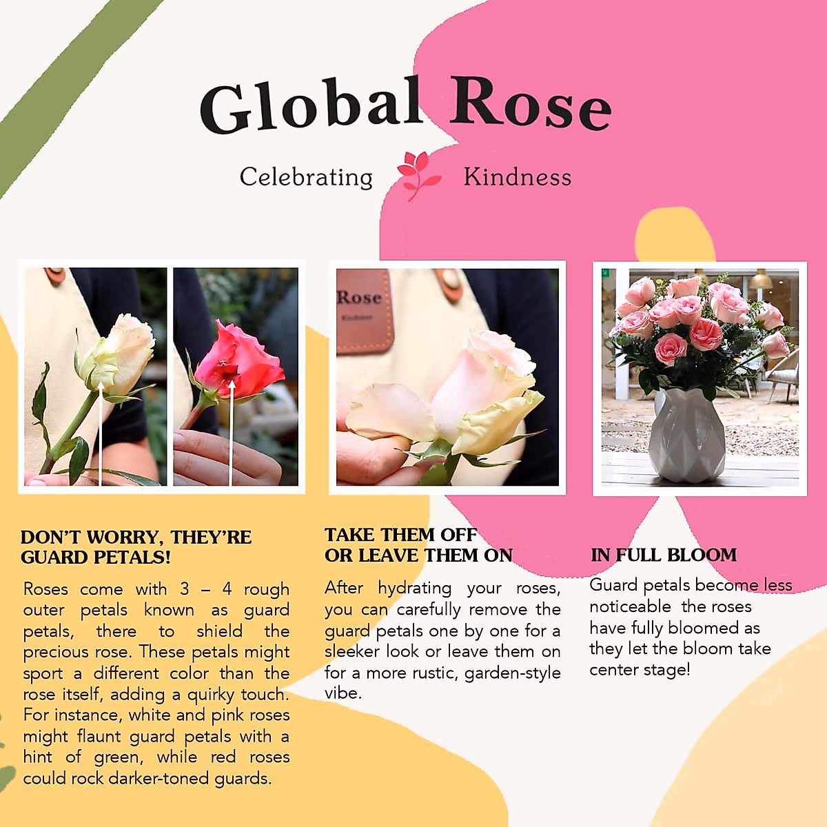 50 Assorted Roses- Two Beautiful Colors- Fresh Cut Flowers (OM)