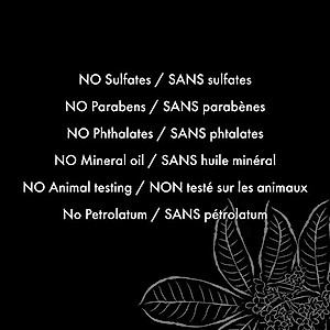 SheaMoisture African Black Soap Bamboo Charcoal Pre-Shampoo Scalp Scrub, 4 Fl Oz