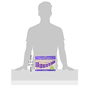 Accordion Style Paper Lantern Garlands | New Purple | Party Decor