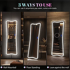 DNBSS 63"x20" RGB LED Full Length Floor Mirror With Lights, Free Standing & Wall Mount, Full Body Lighted Stand Up Mirror for Bedroom (Black RGB)