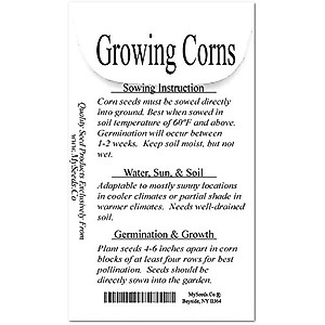 1 lb (1,600+ Seeds) Reid's Yellow Field Corn Seed (OP) Open pollinated Variety - Non-GMO Seeds by MySeeds.Co (1 lb Reid Yellow Corn)