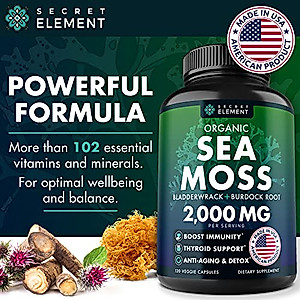 Organic Sea Moss Capsules - Burdock Root, Irish Moss and Bladderwrack Capsules for Immune System, Gut, Skin & Energy - 120 Irish SeaMoss Pills with Raw Sea Moss Powder
