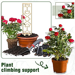 Yalikop 2 Pieces Wooden Small Indoor Trellis Plant Trellis Climbing Plants Hexagon Trellis Potted Plants Trellis Vine Supports Garden Trellises 10 Pieces Black Cable Ties Plant (Moon)