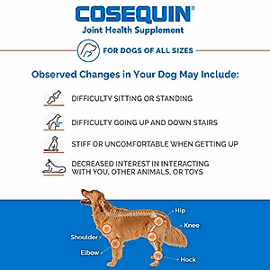 Nutramax Cosequin DS Joint Health Supplement for Dogs - With Glucosamine and Chondroitin, 132 Capsules