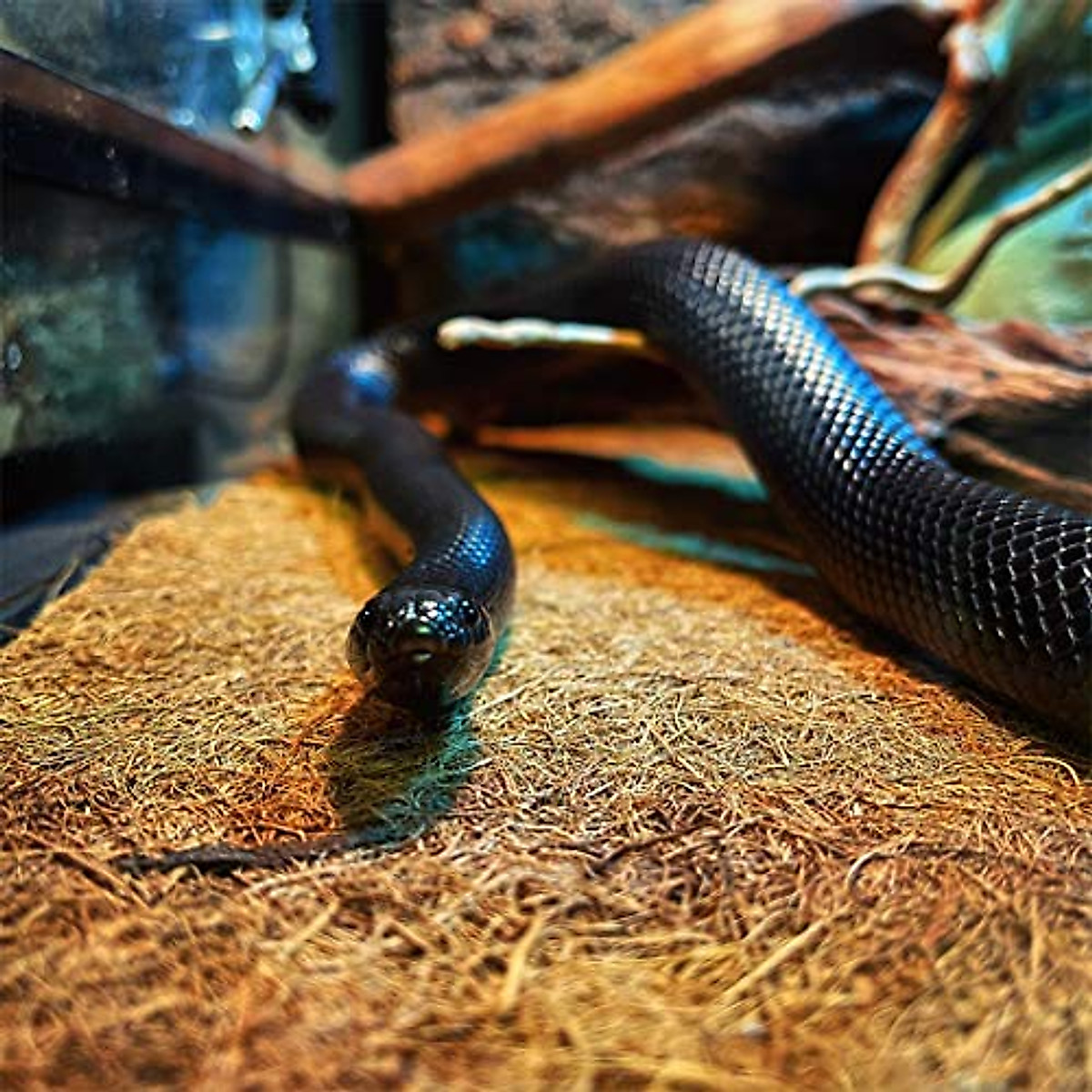 Hamiledyi Reptile Carpet Mat Coconut Fiber,Tortoise Substrate Liner Lizard Reptile Coco Liner for Bearded Dragon Snake Gecko Turtle Lizard Chamelon Iguana
