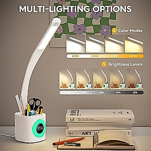 Hokone Desk Lamps for Home Office, LED Desk Lamp with Pen Holder, 10W Study Lamp with USB Adapter, Gooseneck White Desk Lamp Dimmable, RGB Touch Night Light for Kids