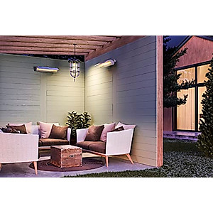 Dimplex DSH Series Indoor/Outdoor Infrared Heater (Model: DSH20W), 6824 BTU, 240 Volt, 2000 Watt, Grey