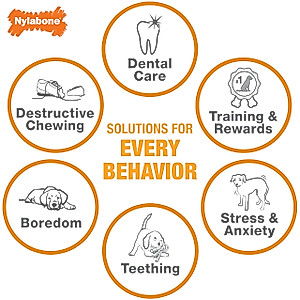 1 Pack Nylabone Durable Dental Dinosaur Chew Toy (Dinosaur Shape Varies), Large