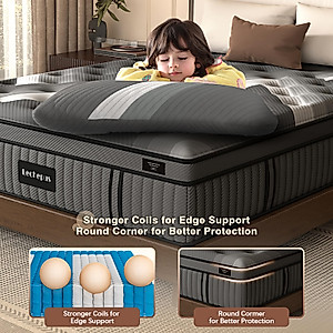 Lechepussleep Full Mattress,Lechepus 14Inch Soft Memory Foam Hybrid Mattress in Box,Plush Feel Full Size Mattress with Supportive Pocket Coil for Back Pain Relief,Motion Isolation, None of Fiberglass