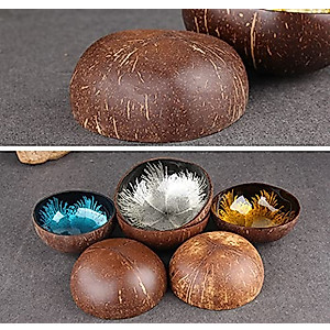 Emousport Coconut Shell Key, Candy Bowl Table Key Storage Section Coconut Bowl Ink Creative Ornament Creative Storage Bowl (Green)