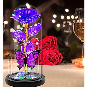 Mothers Day Flowers Gifts Mom, Rose Flower Mom Gifts Wife Grandma Her, Galaxy Crystal Light Up Rose Flowers in A Glass Dome Purple, Mother Day Presents from Daughter Butterfly Birthday Gifts for Women