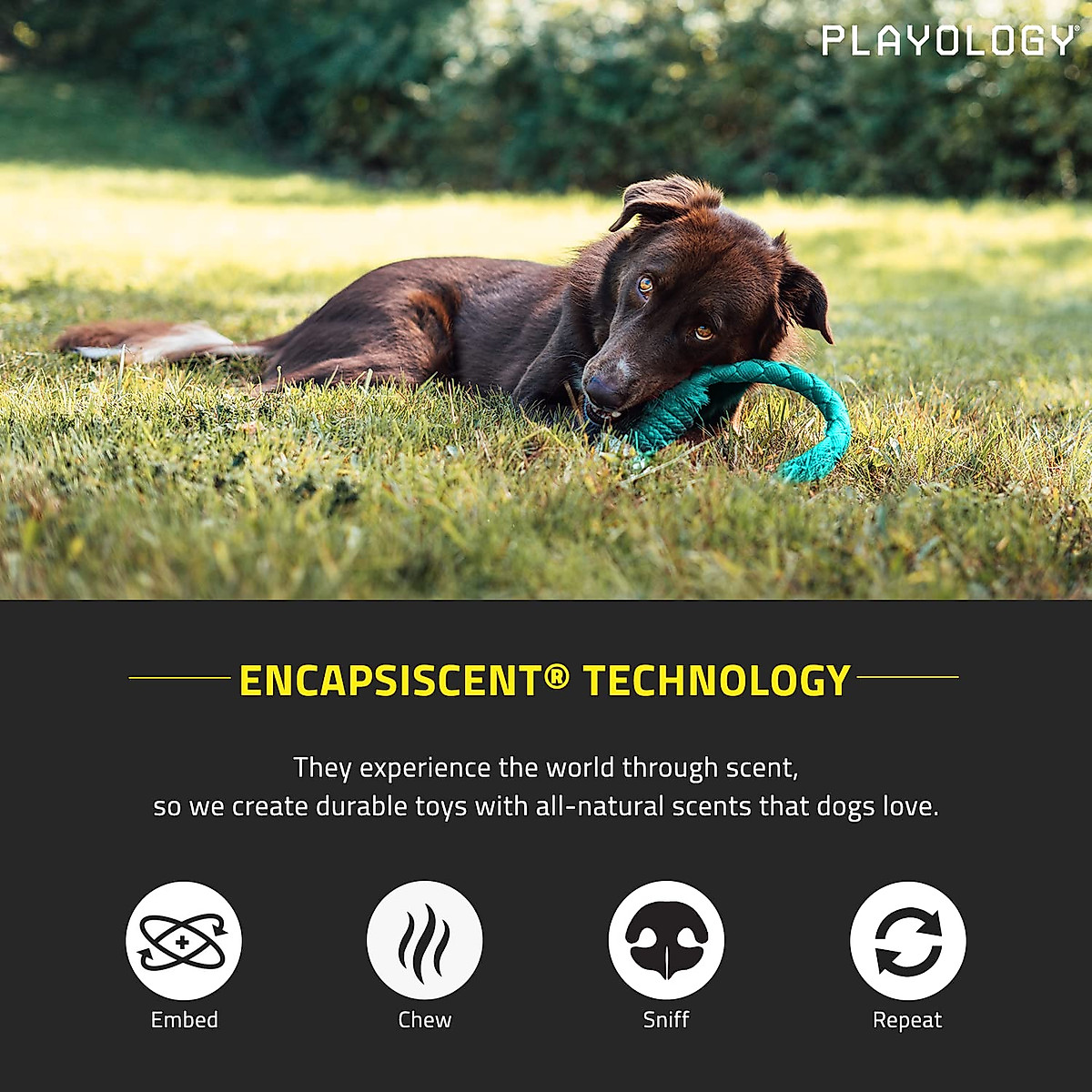 Playology Dri-Tech Ring Peanut Butter Dog Toy Large