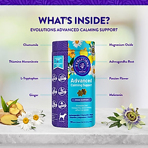 Evolutions by NaturVet Advanced Calming Support 90ct Soft Chews for Dogs - Ashwagandha, Chamomile, Ginger, Thiamine, Magnesium, Melatonin - Helps Promote Rest, Tranquility, Calming Effect on Nerves