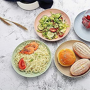 NAWOVAO Wheat Straw Plates Plastic Plates Reusable 10 Inch - Microwave Safe Plates for Kitchen Set of 4, Unbreakable Dinner Plates, BPA Free