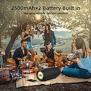 ROYQUEEN Bluetooth Speaker,30W Loud Stereo Sound Portable Speaker,Deep Bass,IP67 Waterproof and Dustproof,Wireless Dual Pairing,Built-in Mic,for Outdoor,Indoor
