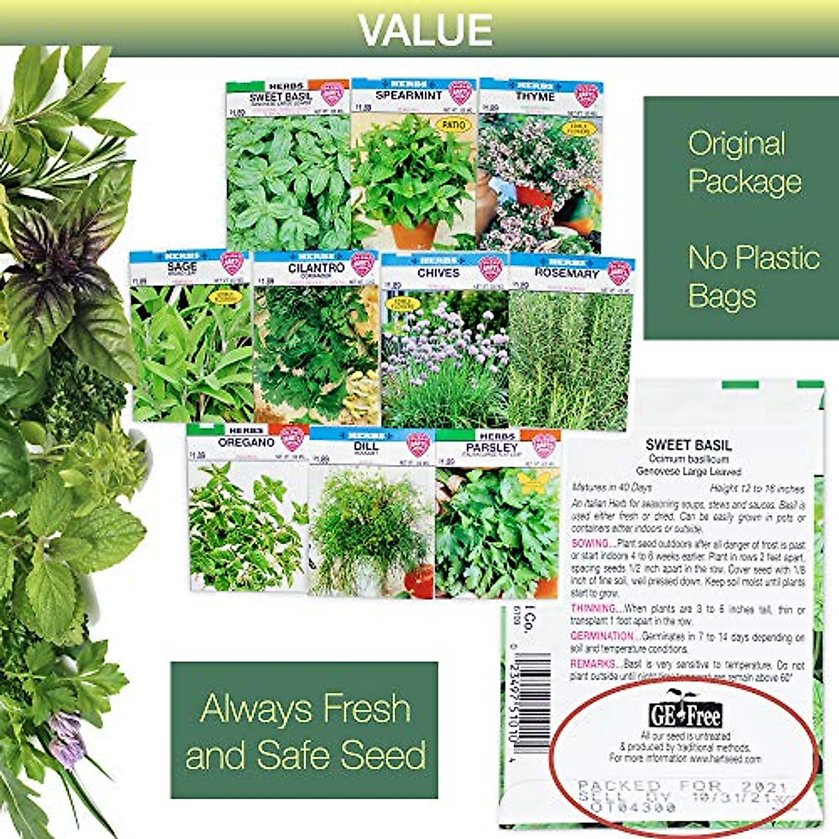 Window Garden Herb Seeds - 10 Popular Varieties for Indoor or Outdoor Planting, Growing. Attractive Markers and Quality Seed - Basil Parsley Dill Oregano Rosemary Chives Mint Sage Thyme Cilantro.