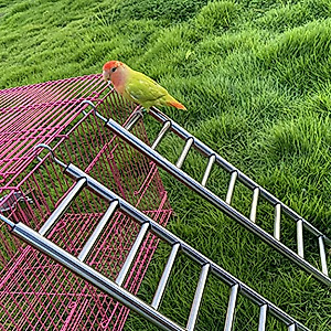 Dorakitten Parrot Ladder Stainless Steel - Metal Bird Climbing Exercise Toy Nonskid Rustproof Portable Bird Cage Ladder Cockatiel Stand Ladder