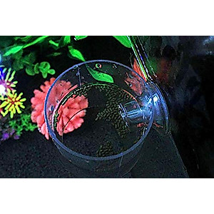 DGZZI Fish Feeder Acrylic Aquarium Fish Tank Adjustable Circle Ring Fish Feeding Floating Food Dish Food Protection Cover Tray Feeder