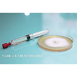 Olympus Myco Sorghum Yeast Extract Agar Plates for Mushroom Cultivation and Science Experiments (10 Sterile Pre-Poured Agar Plates)