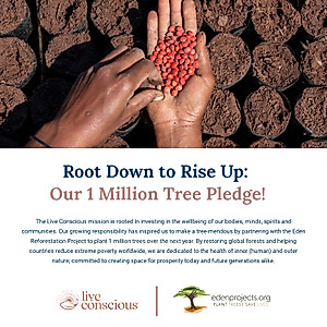 Live Conscious OmegaWell Fish Oil: Heart, Brain, and Joint Support | 800 mg EPA 600 mg DHA - Enteric-Coated, Sustainably Sourced - Easy to Swallow 120 Count (2-Pack)