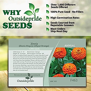 Outsidepride Zinnia Elegans Lilliput Orange Heat & Drought Tolerant Garden Cut Flowers - 1000 Seeds