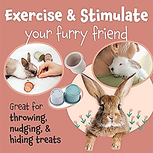 Evergreen Pet Supplies 8 PC Stacking Cups for Rabbits- Wheat Straw Toys with Cute Animal Designs - Bunny Stacking Cups to Play with Rabbits - Nesting Toys to Keep Busy-Graduated Sized Stackable Toys