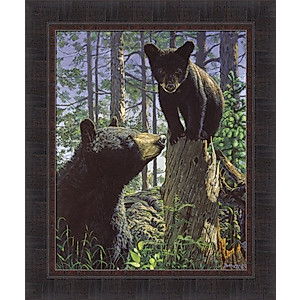 Home Cabin Décor Stump Jumper by Bruce Miller 20x24 Black Bear Mama Cub Woods Framed Art Print Picture