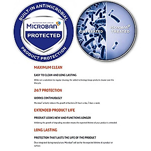 Artic Zone Expandable hardbody lunch,black