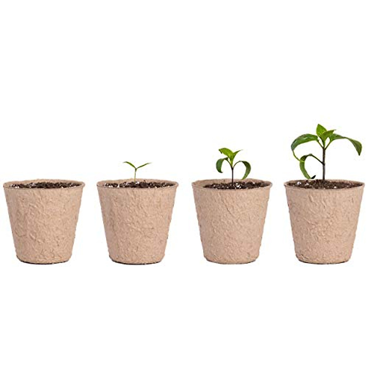 Garden Growers Seed Starter Pots – 3 Inch Biodegradable Peat Pods for Starting Flowers and Vegetables – Breathable and Absorbent for Aeration and Root Growth (60 Pots with 10 Bonus Plant Labels)