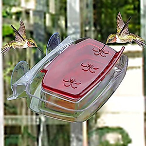 Juegoal Window Hummingbird Feeder, 8-Ounce