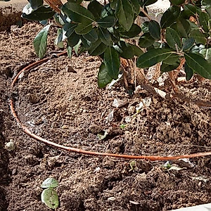 DIG ML-112B ¼” 100’ MICROLINE™ Dripline, 12” Dual Outlet Emitter Spacing, UV-Resistant Tubing for Efficient Irrigation | Ideal for Raised Beds | Flexible, Durable, Easy Installation (Brown)