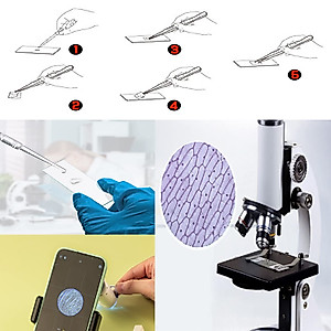 10pcs Blank Microscope Slides, 25.4x76mm Glass Microscope Cover Slips for Laboratory