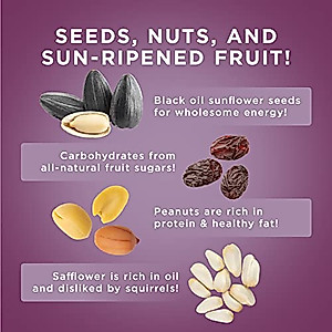 Audubon Park Nut & Fruit Snack Stack Wild Bird Food, Bird Seed Cake for Outside Feeders, 6-Pack