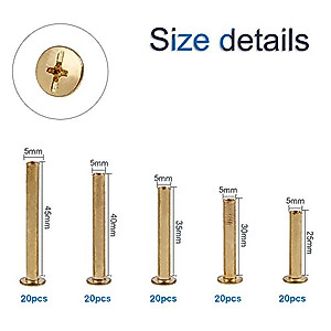 INCREWAY Phillips Screws, 100 Sets 5mm X 25/30/35/40/45mm Brass Plated Chicago Binding Screws, Round Cross Head Stud Screw Posts Nail Rivet Chicago Button, Brass Tone