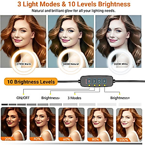 Phone Ring Light, 8'' Ring Light with 2 Suspension Arm Stand Compatible with iPhone 15 14 13 12 11 XR X XS Cell Phone for Baking,Craft,Calligraphy,Drawing,Online Lesson,Video Recording