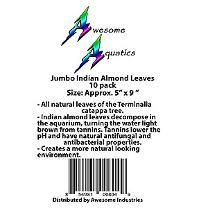 Awesome Aquatic Jumbo Betta/Shrimp Leaves 10 Premium Catappa Indian Almond Leaves Jumbo 7"-9" in Natural Habitat Tannin Producing Improves Immunity, Easy to USE…