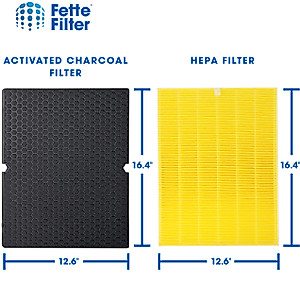 Fette Filter - 116131 Premium True HEPA H13 Replacement Filter I Compatible with Winix C555 Air Purifier 2 Ture HEPA H13 Filters + 2 Enhanced Activated Carbon Filter Compare to Winix 116131 Filter I
