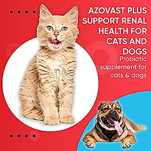 Azovast Plus Kidney Health Supplement for Dogs & Cats, 120ct - NO Refrigeration Required - Help Support Kidney Function & Manage Renal Toxins - Renal Care Supplement Capsule(U.S.A) (120 Caps)