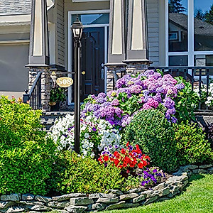 Design House 501817 80-Inch Lamp Post, Black